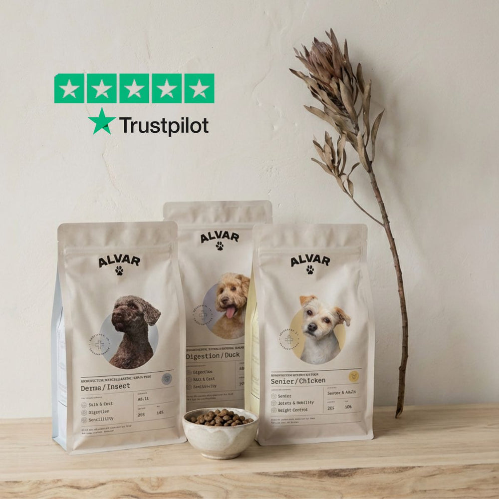 Alvar Pet | Tailored to your dog's needs | Natural ingredients